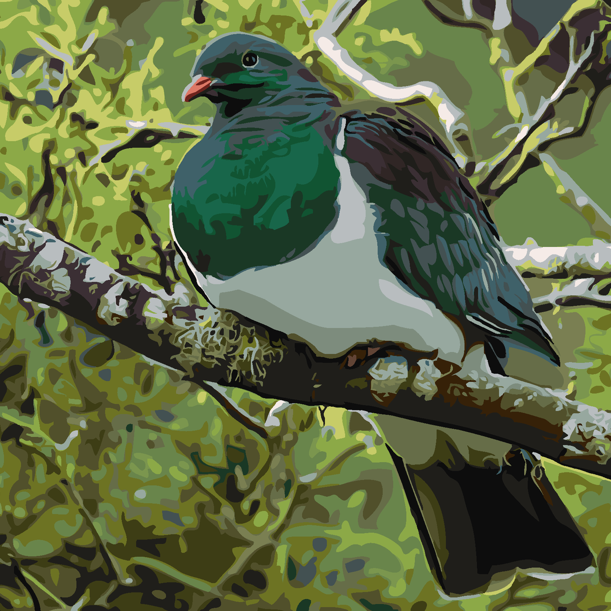 Full Collection – Kiwi Paint by Numbers