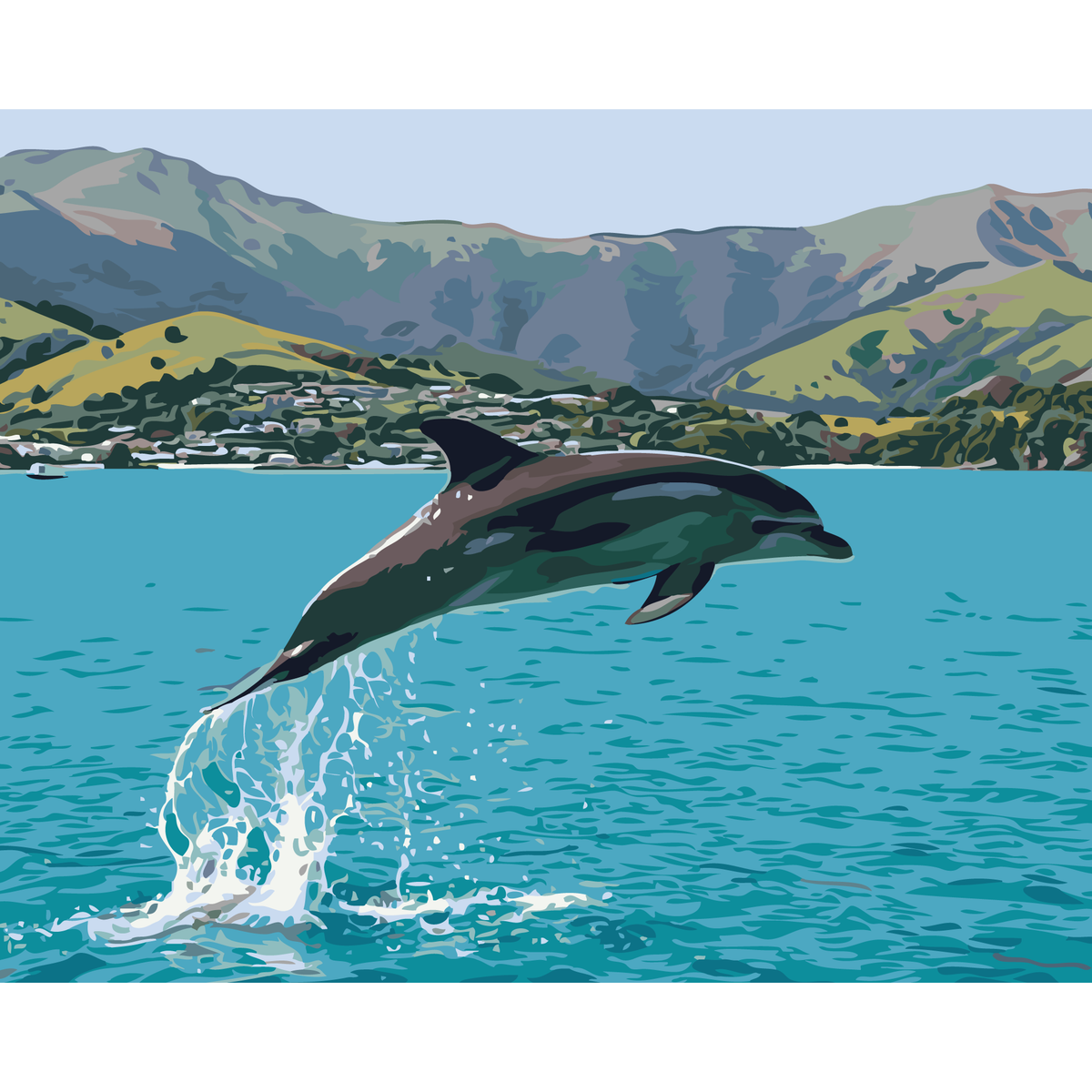 Common Dolphin – Kiwi Paint by Numbers