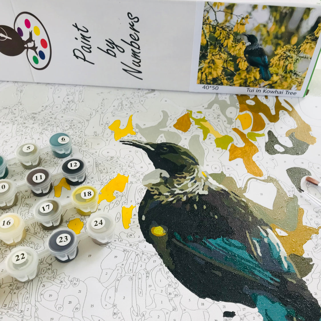 Tui in Kowhai Tree | Paint by Numbers Shipped Direct from NZ – Kiwi ...
