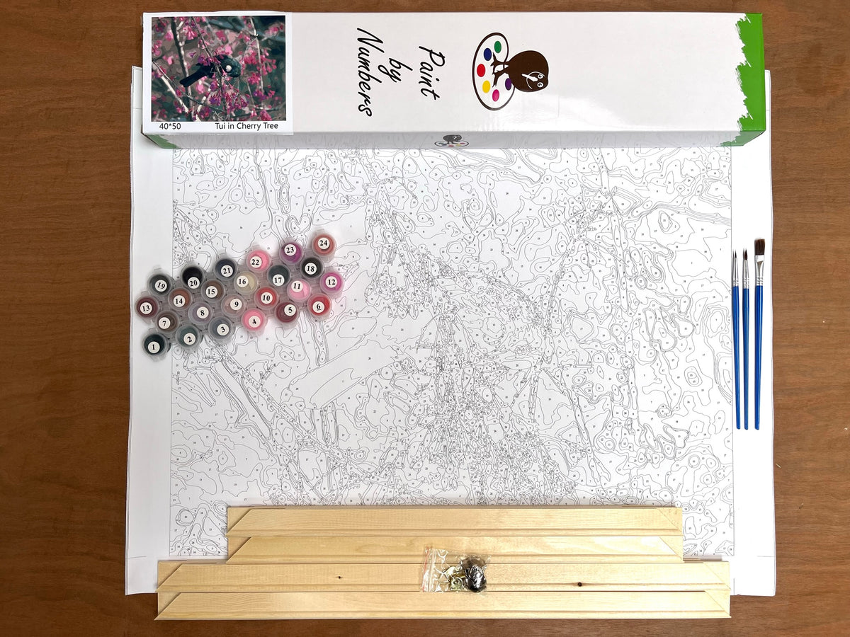 Tui in Kowhai Tree | Paint by Numbers Shipped Direct from NZ – Kiwi ...