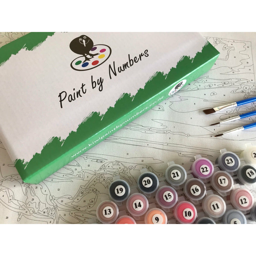 Products – Kiwi Paint by Numbers